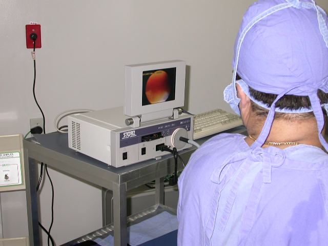 Clini Center -- Ginecologia e obstetrícia